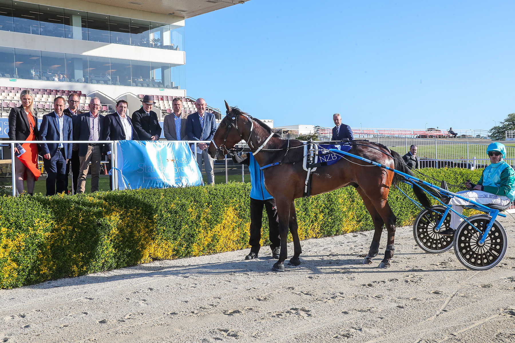 Southern Diamond (NZ) To Take On Outstanding Field in Second Harness ...