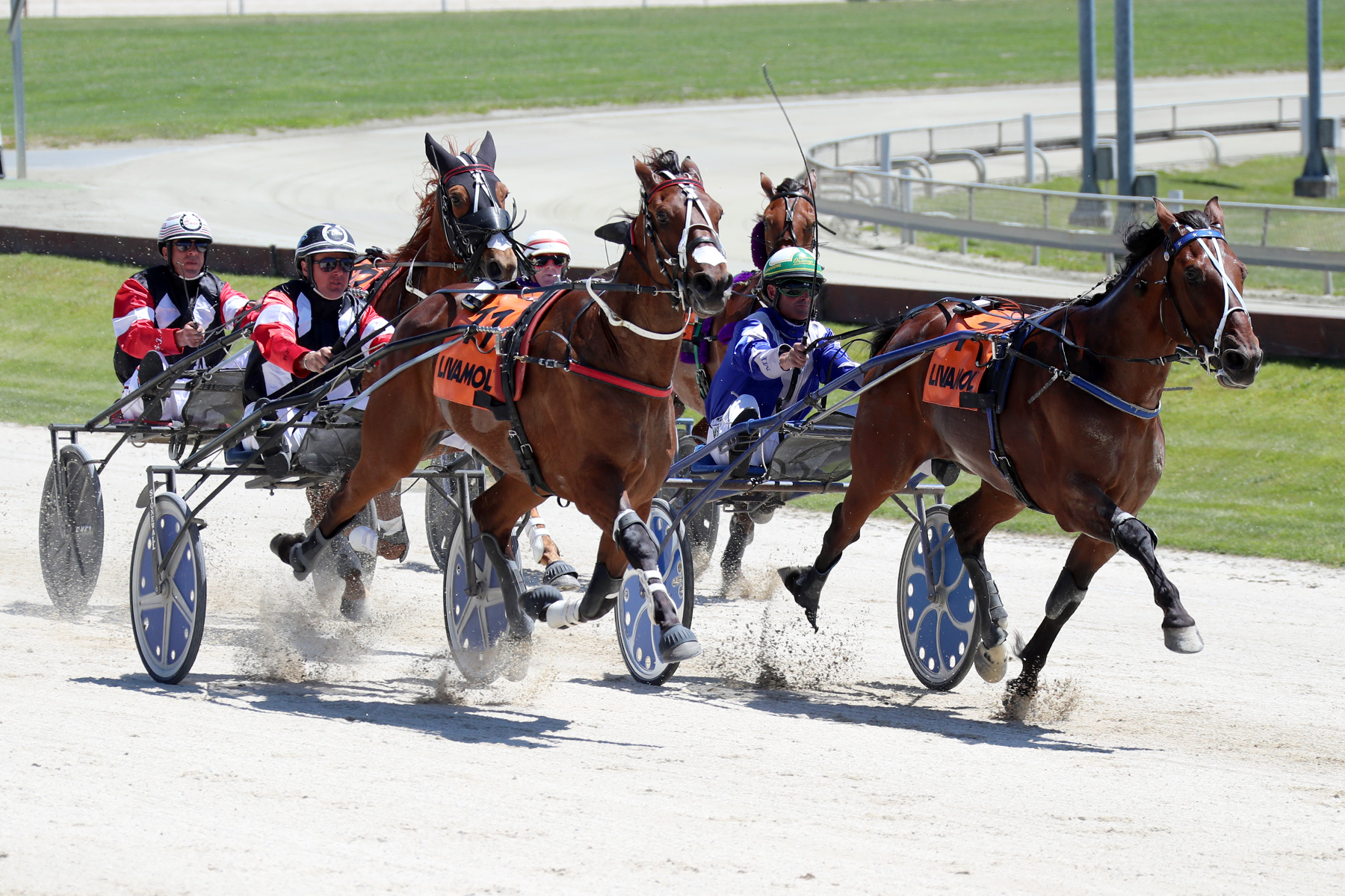 Nazareth (NZ) Seizes Group One Opportunity in Trotting Derby | NZB ...